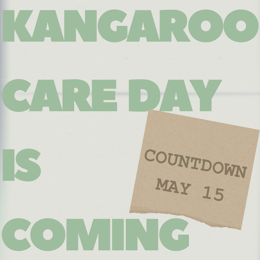 Join or Create a Kangaroo-Care Contest (Kangaroo-a-thon) – Int'l ...