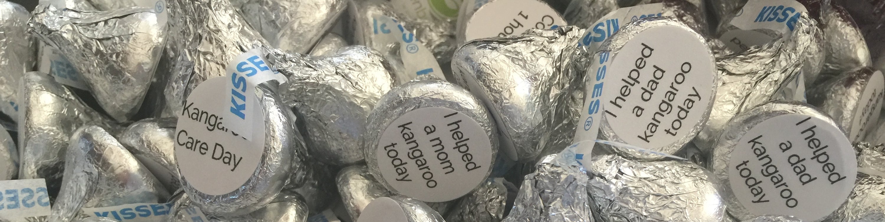 2024 Kangaroo Care Awareness Day Logo - (Free download) – Int'l ...